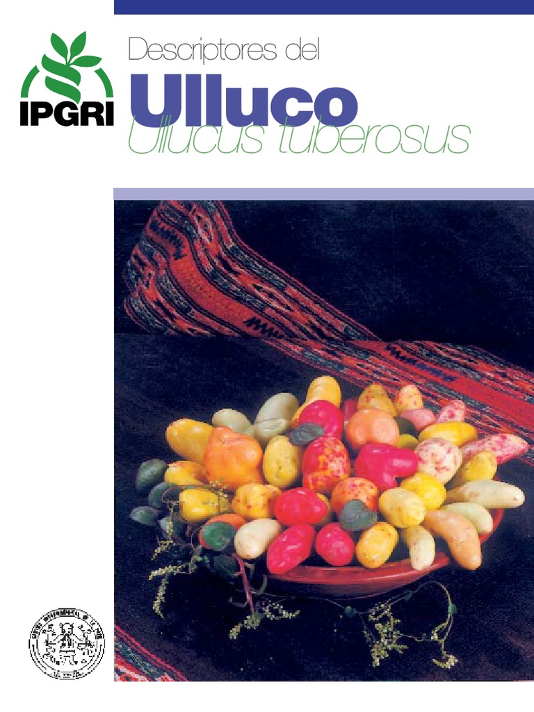 Descriptores Del Ulluco Ullucus Tuberosus 904 PDF | PDF | Agricultura ...
