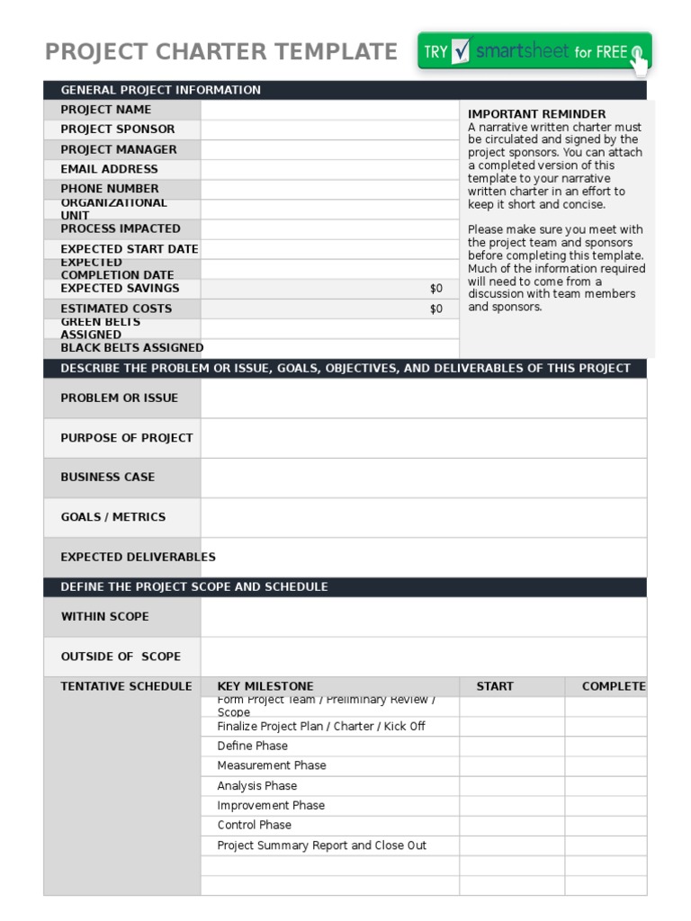 IC Project Charter Template 8556 | Download Free PDF | Reliability ...