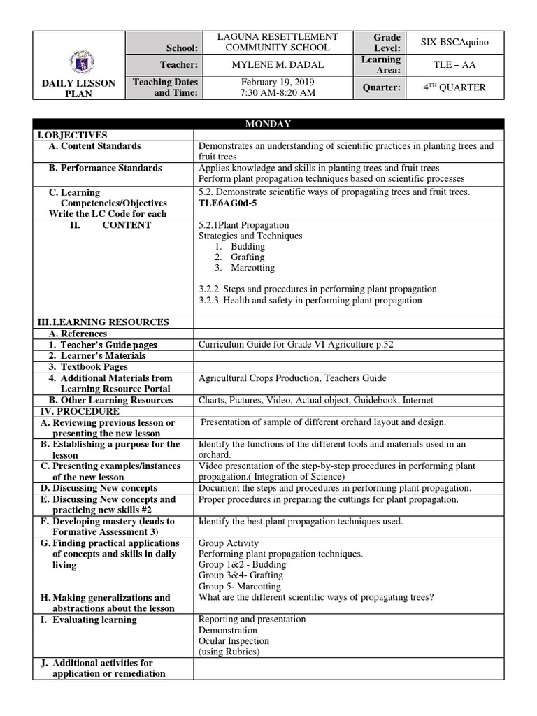 Daily Lesson Plan Tle | PDF | Lesson Plan | Learning
