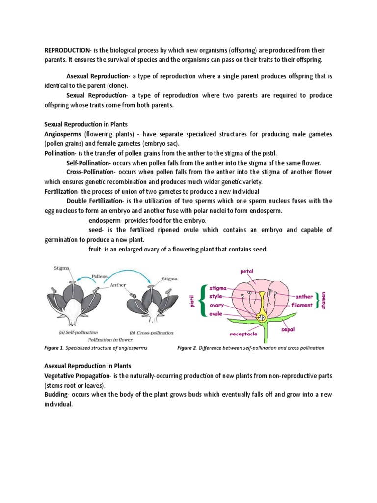 Figure 1. Specialized Structure of Angiosperms Figure 2. Difference ...