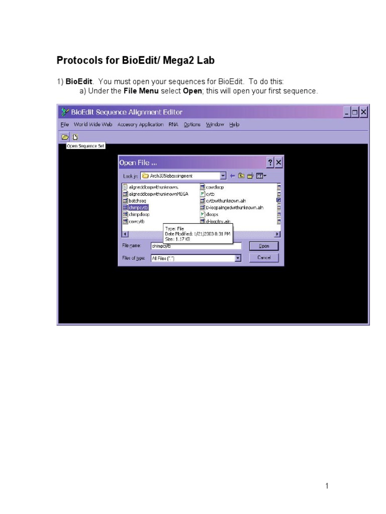 Protocols For BioEdit | Download Free PDF | Nucleic Acid Sequence ...