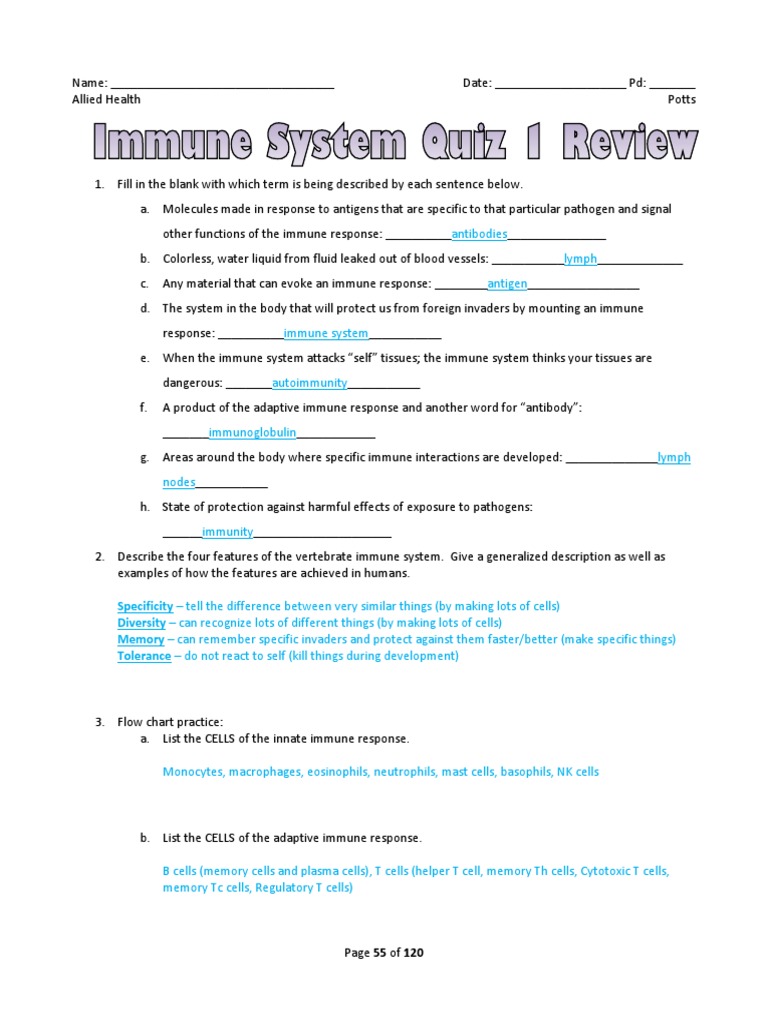Immune System Overview and Functions | PDF | Adaptive Immune System ...