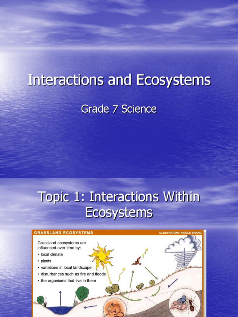 Interactions and Ecosystems: Grade 7 Science | PDF | Ecosystem | Food Web