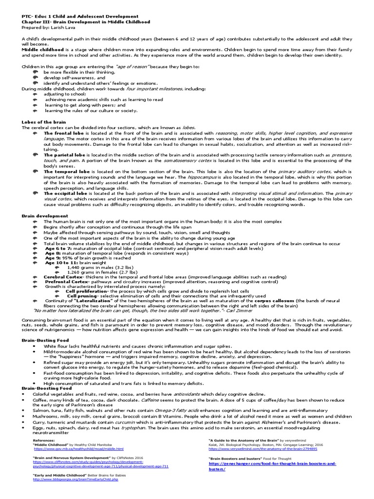 Brain Devl On Middle Childhood | PDF | Temporal Lobe | Somatosensory System