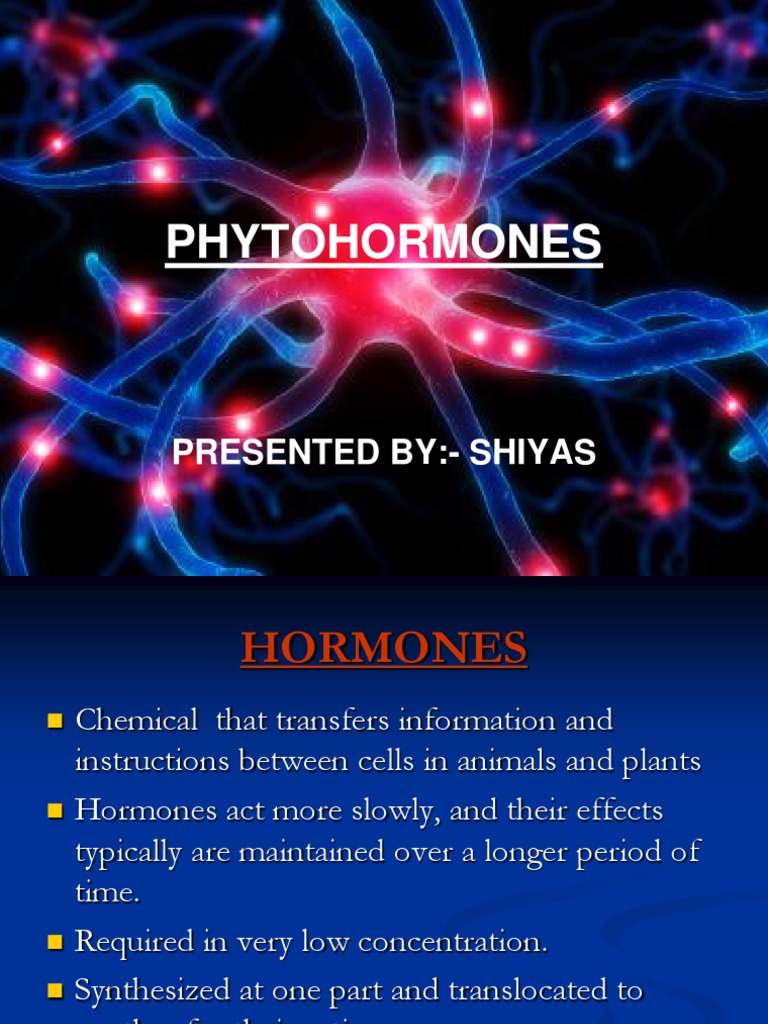 Phytohormones: Presented By:-Shiyas | PDF | Plant Hormone | Auxin