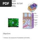 Edtpa Secondary Science Instruction Commentary | PDF | Scientific ...