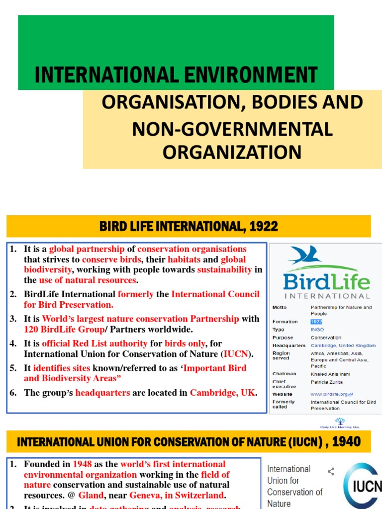 Key International Environmental Organizations | PDF | International ...