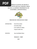 Cledium 300 mg: Uso y Composición | PDF | Osteoartritis | Medicamentos ...