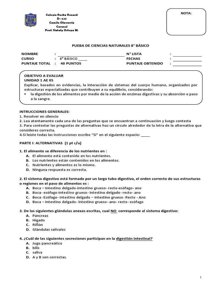 Prueba Sistema Digestivo 8vo PDF | PDF | Digestión | Sistema digestivo ... Prueba Sistema Digestivo 8vo PDF | PDF | Digestión | Sistema digestivo ...