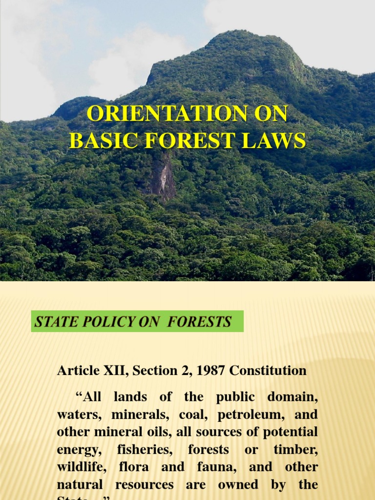 BASIC FORESTRY LAWS latest 2019.pptx | Forestry | Fine (Penalty)