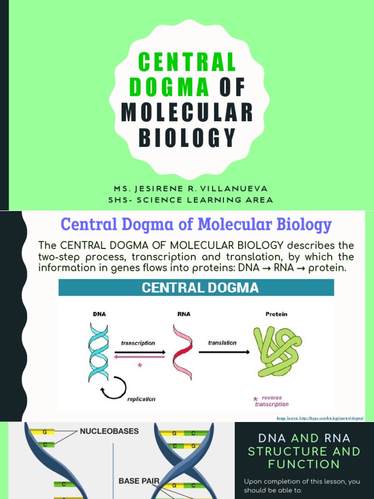 Central Dogma of Molecular Biology PDF | PDF | Dna Replication | Rna
