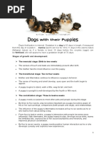 Lion Life Cycle Stages Explained | PDF