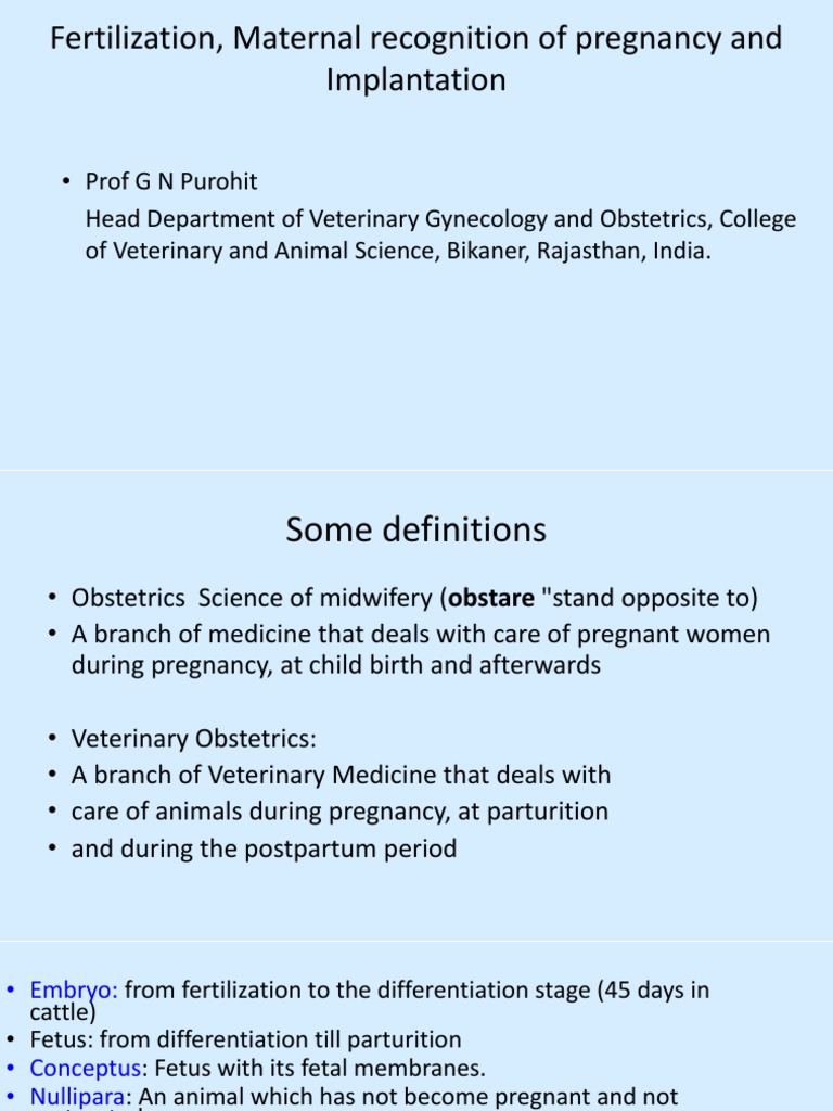 Veterinary Obstetrics Overview | PDF | Biological Processes | Zoology