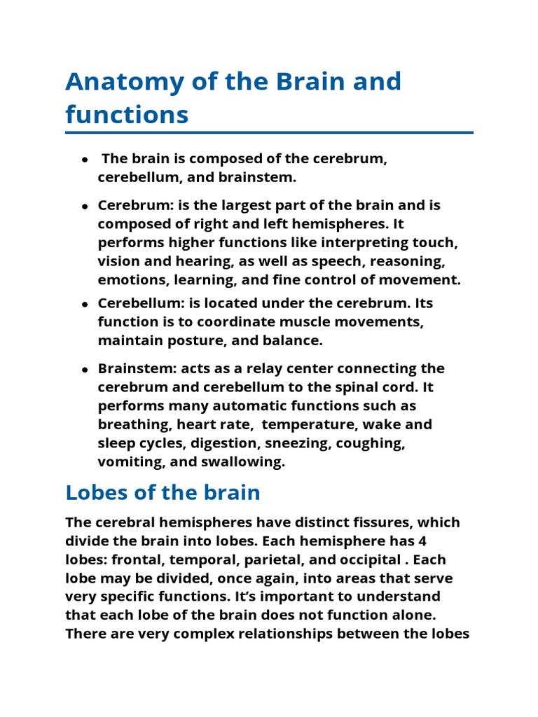 Anatomy of The Brain and Functions | PDF | Cerebrum | Cerebral Cortex