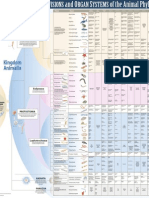 Anatomy and Physiology Binder Cover | PDF