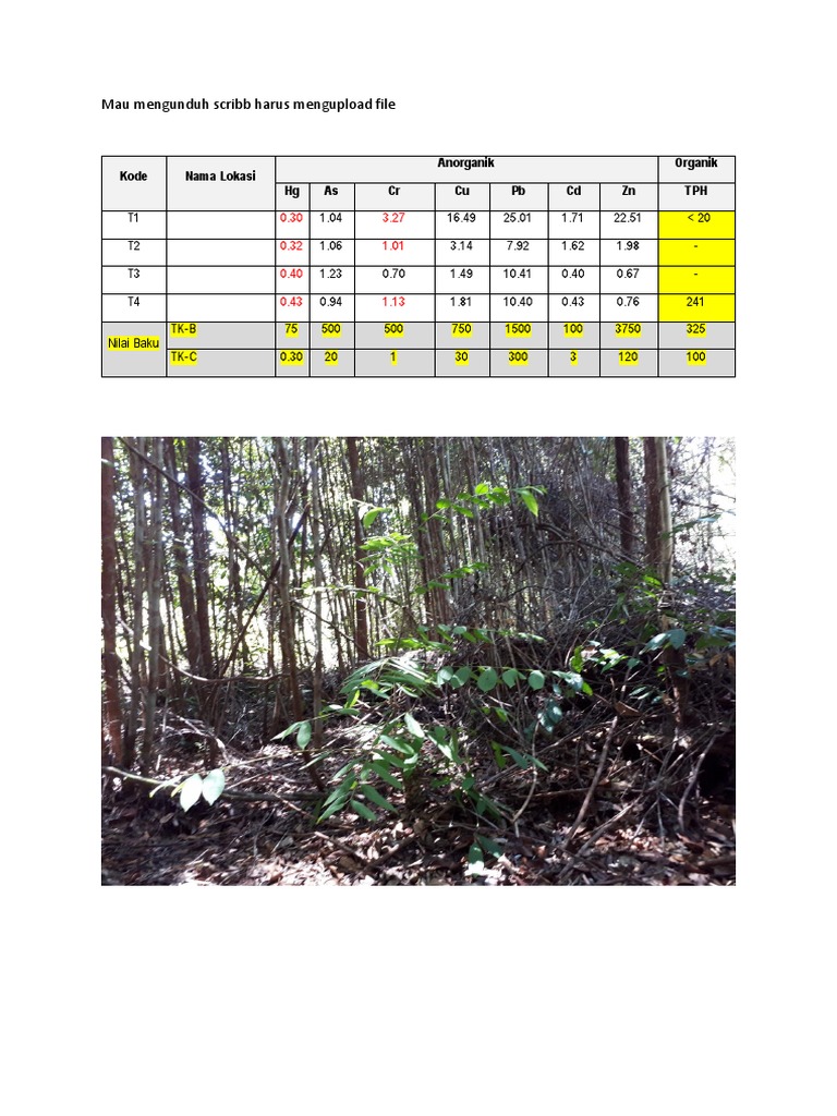 Sampling Tanah | PDF