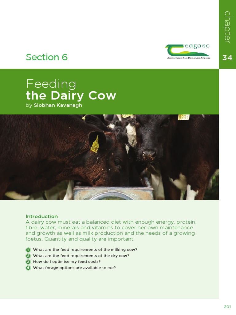 Feeding Diary Cow Pdf Dairy Cattle Cattle