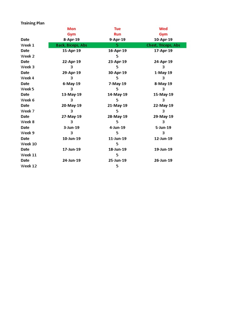 Training Plan | PDF