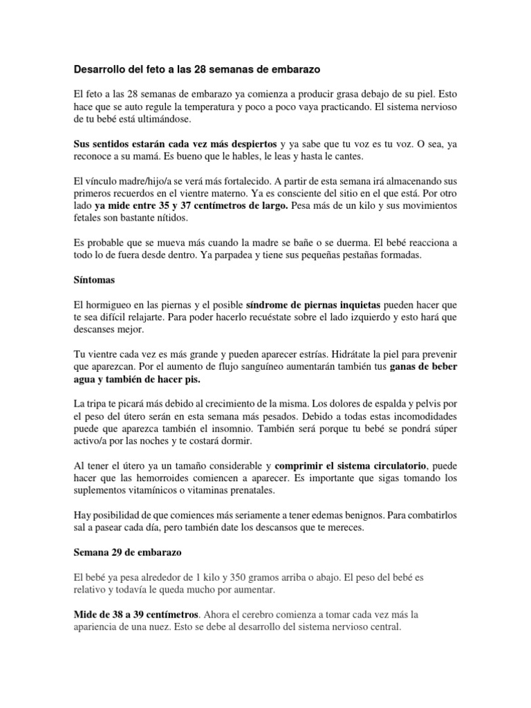Desarrollo Del Feto A Las 28 Semanas de Embarazo | Descargar gratis PDF ...