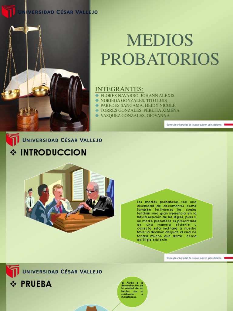 Medios Probatorios: Integrantes | Evidencia (ley) | Justicia