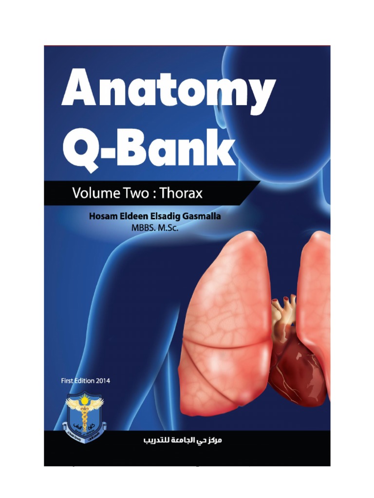 Anatomy Q-Bank Volume Two Thorax | PDF | Aorta | Thorax