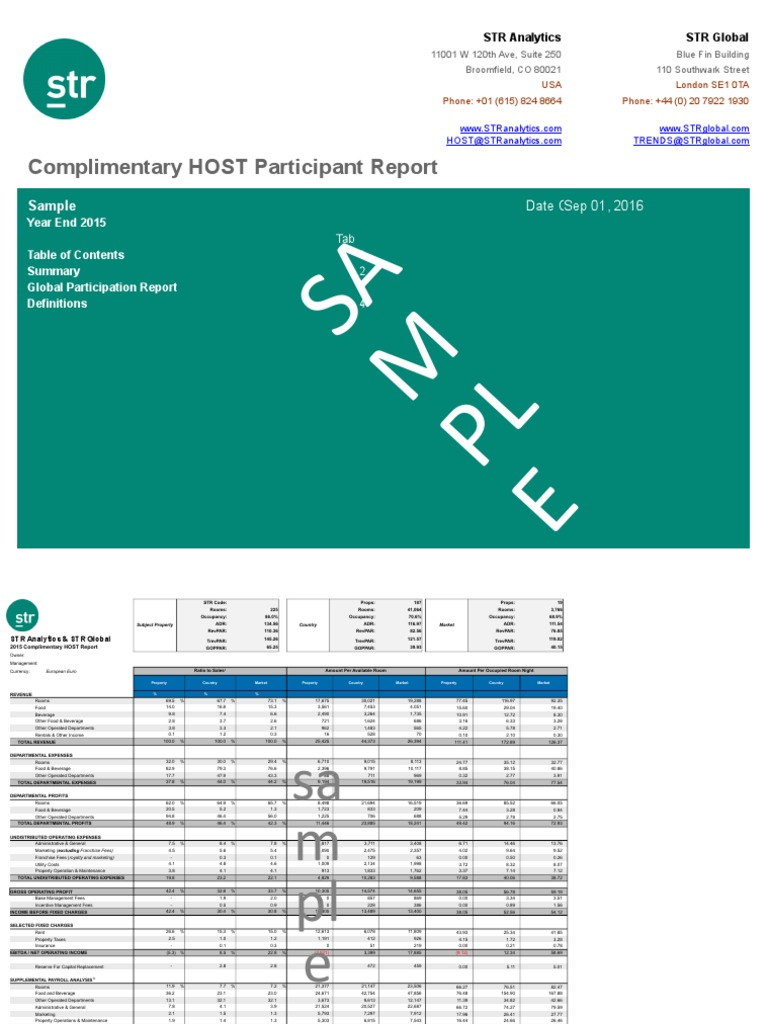 Complimentary P L Report Sample 2016 Global | PDF | Earnings Before ...