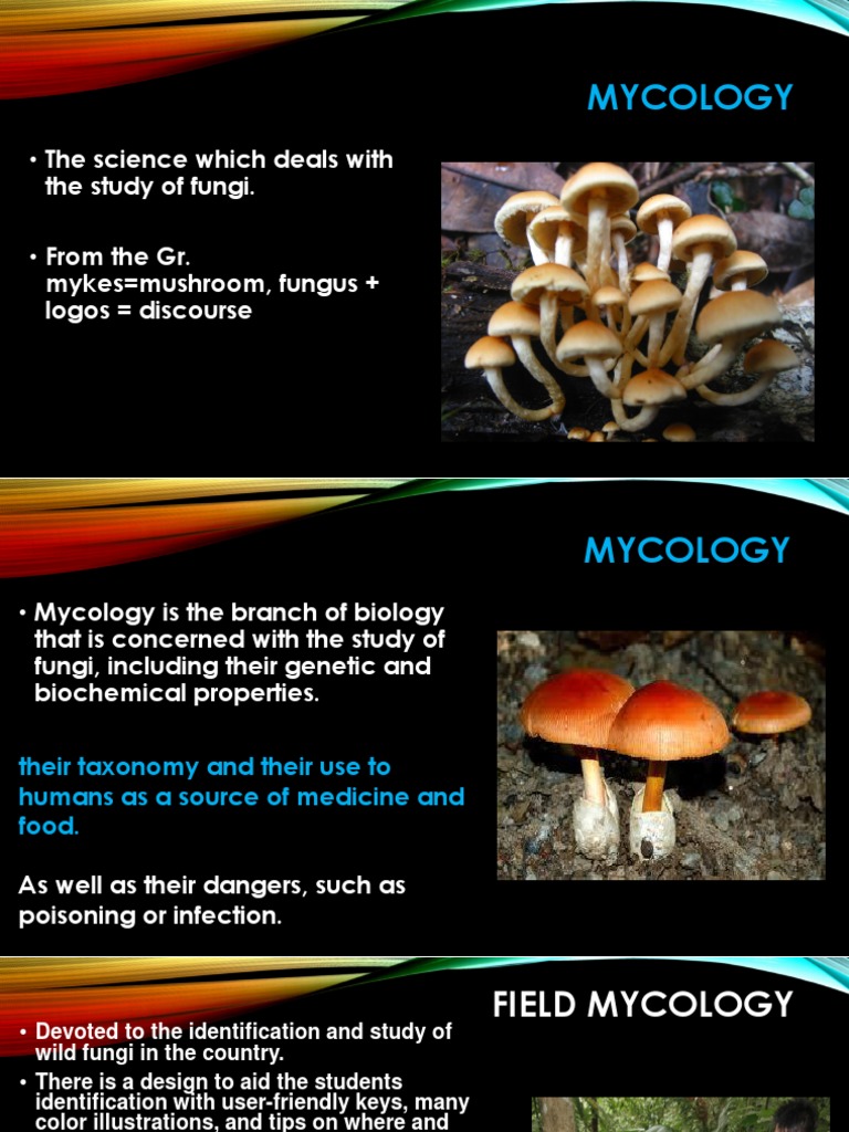 Mycology | PDF | Fungus | Ploidy