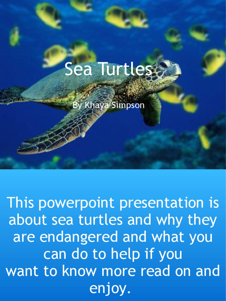 Sea Turtles | PDF