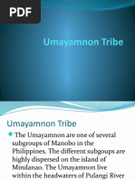 Manobo Tribe Report | PDF