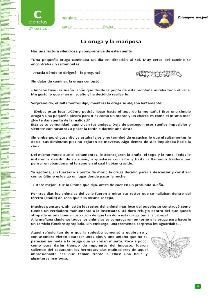 La transformación de la oruga en mariposa | PDF | Lepidópteros | Dormir