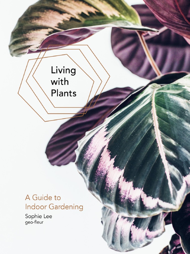 Living With Plants - A Guide To Indoor Gardening PDF | PDF | Bonsai ...