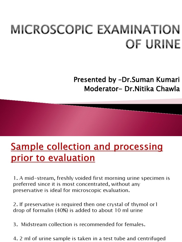 Microscopic Urine Examination Guide | PDF | Anatomy | Medicine