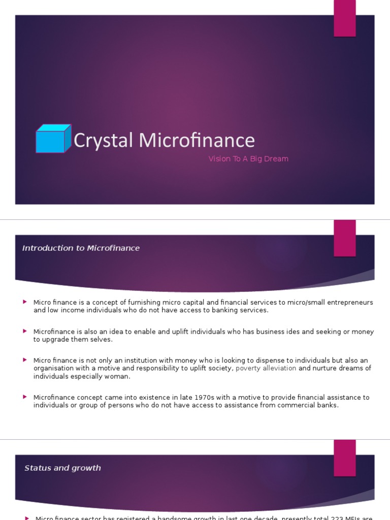 Crystal Microfinance Project | PDF | Microfinance | Expense