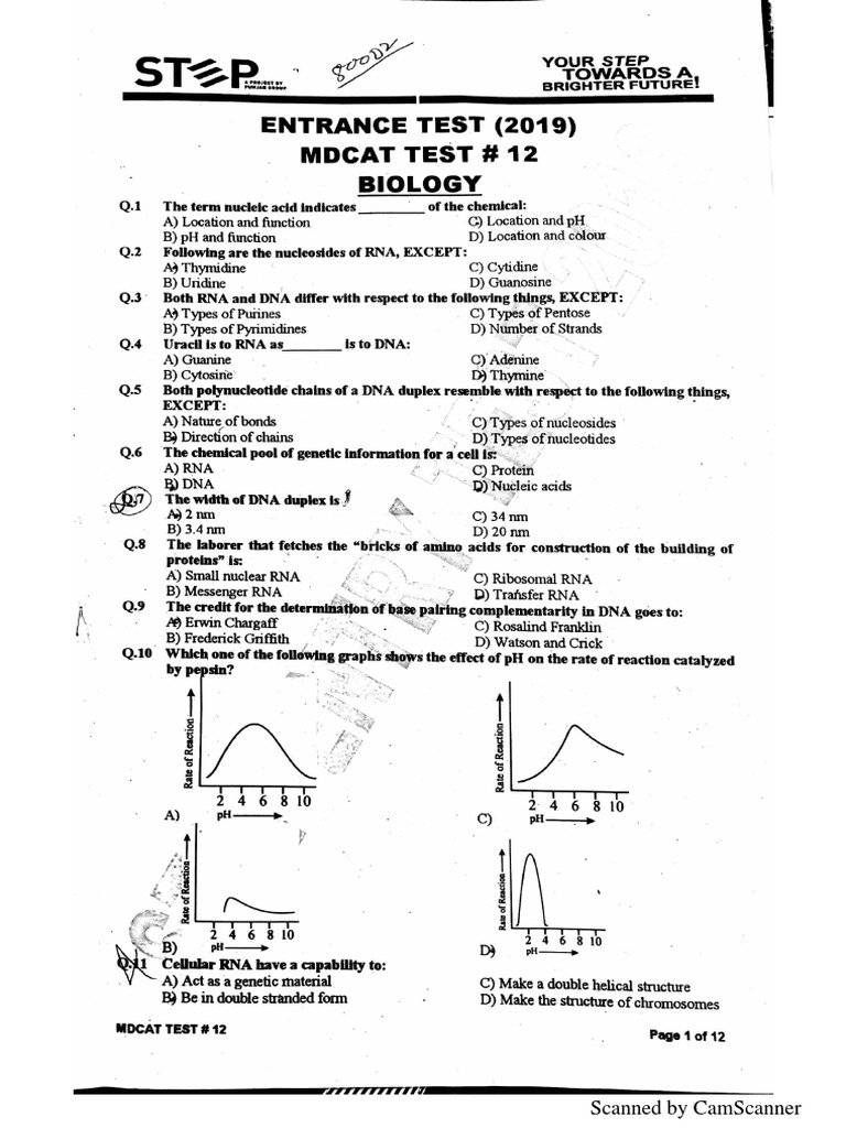 Step Test#12 | PDF