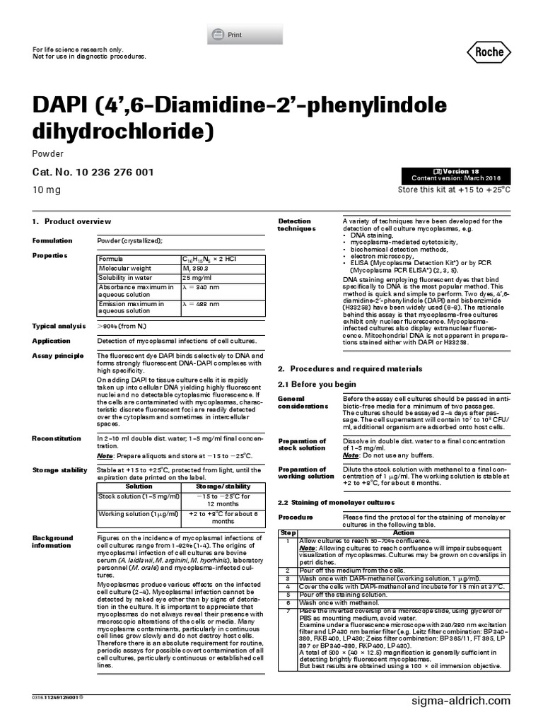 Dapi Sigma | PDF | Dapi | Mycoplasma