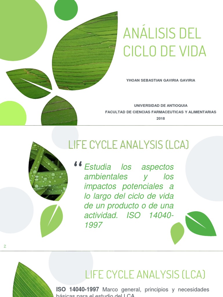 Análisis Del Ciclo De Vida Pdf Evaluación Del Ciclo De Vida Business