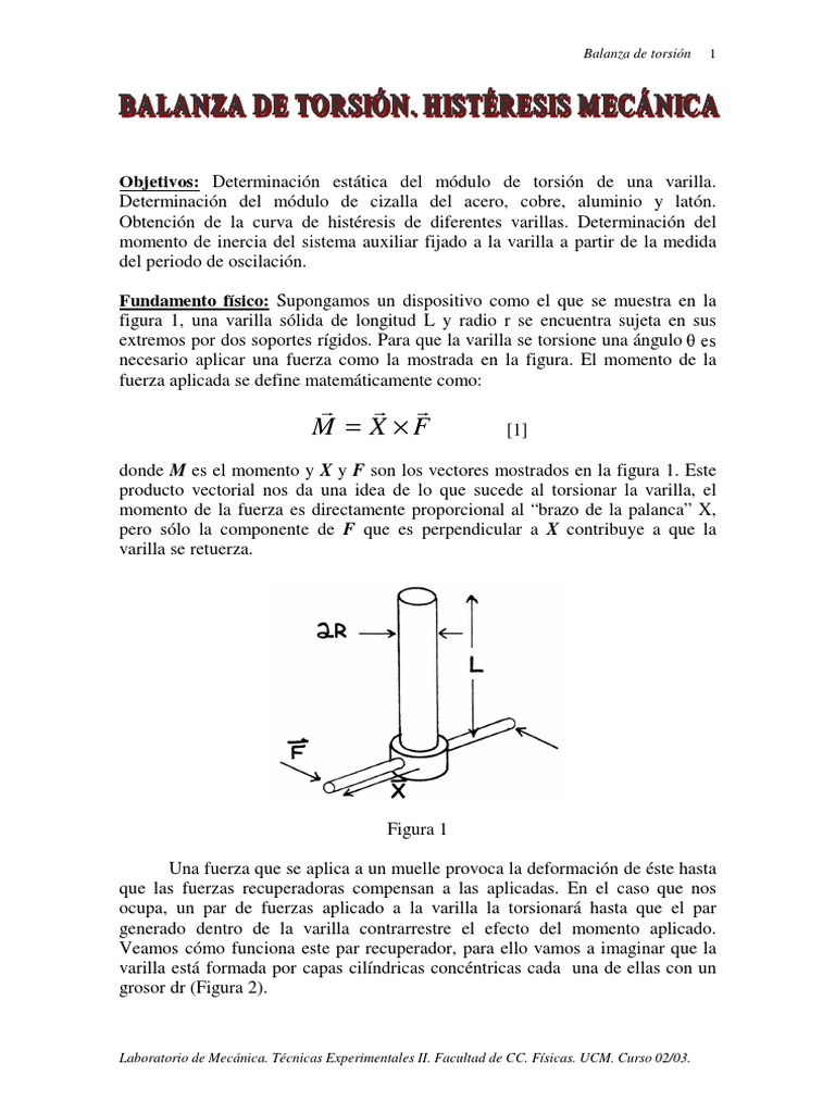 Torsion | PDF | Fuerza | Movimiento (física)