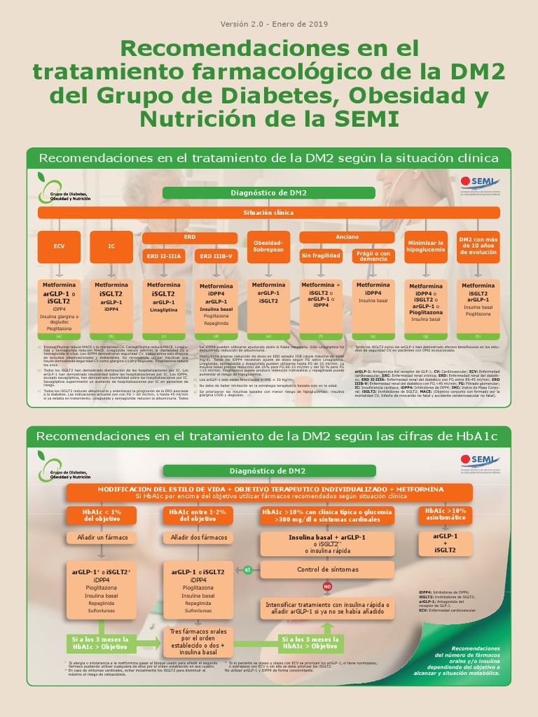 Algoritmo Dm Semi 2019 | Diabetes mellitus tipo 2 | Diabetes mellitus