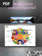 Inteligencia Visual Espacial PDF | PDF | Imagen | Aprendizaje