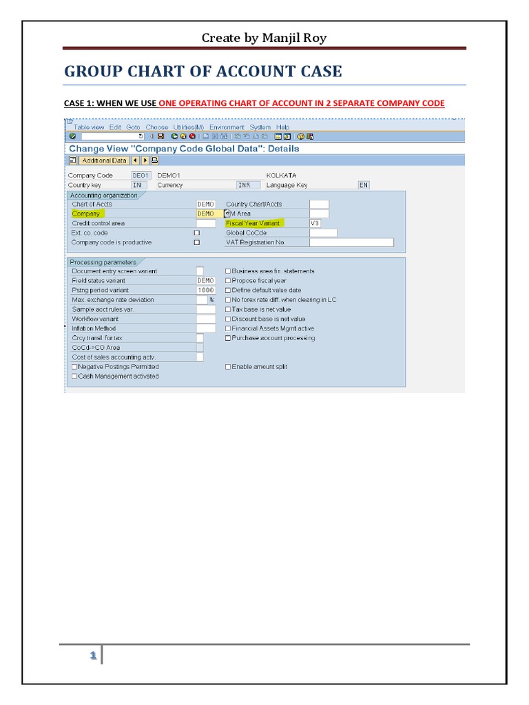 Group Chart of Account Case | PDF