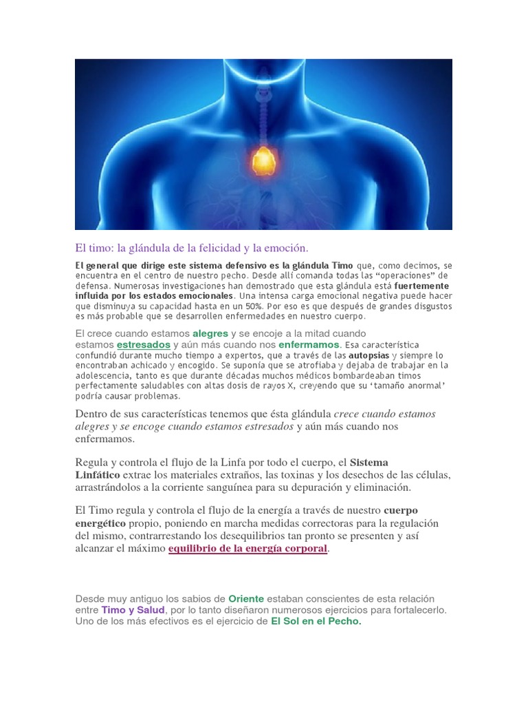 El Timo | PDF | Timo | Felicidad