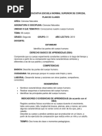 Plan de Clases: Números Ordinales 1° | PDF | Cognición | Aprendizaje