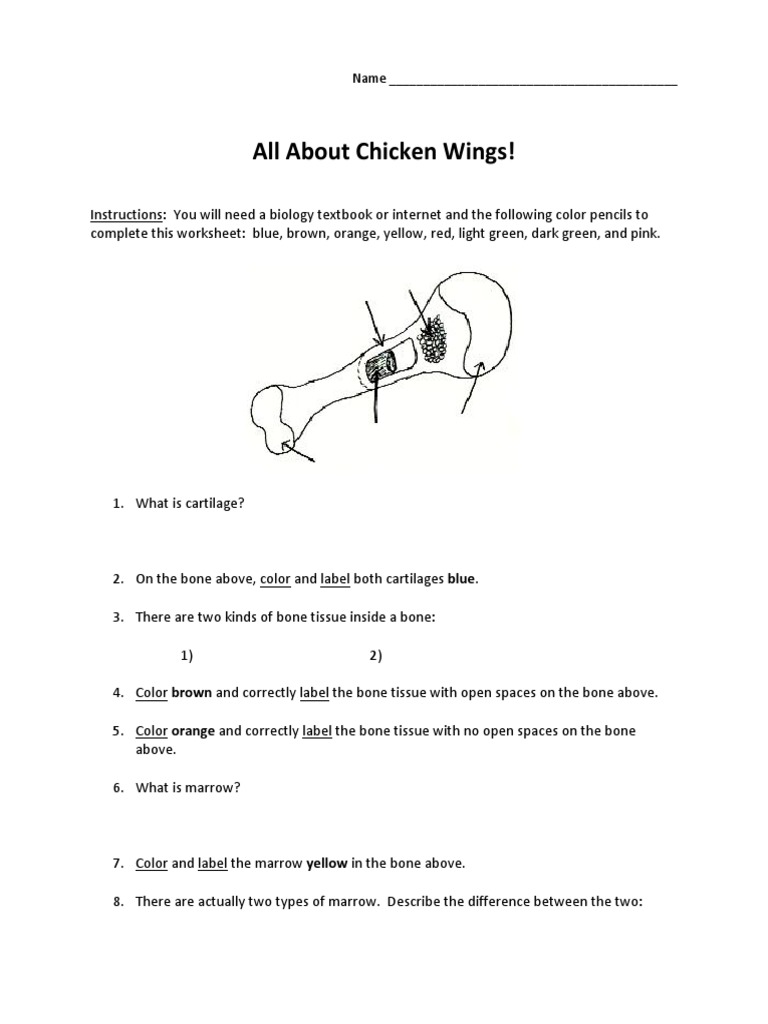 Chicken Wing Dissection | PDF | Bone | Muscle