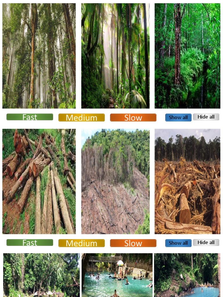 Tekstong Deskriptiv | PDF