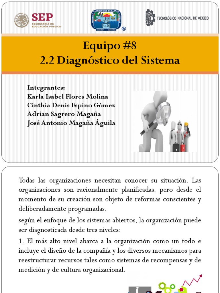 Diagnóstico Organizacional: Enfoque y Etapas | PDF | Cuestionario ...
