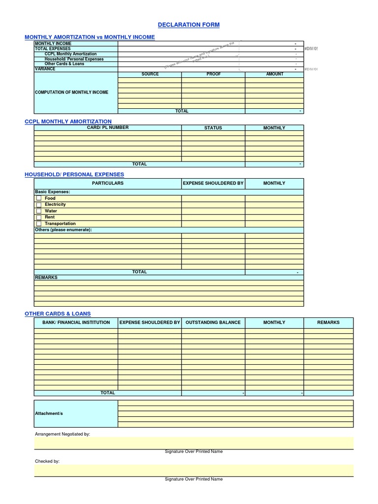Declaration Form - Monthly Income vs. Expenses | PDF