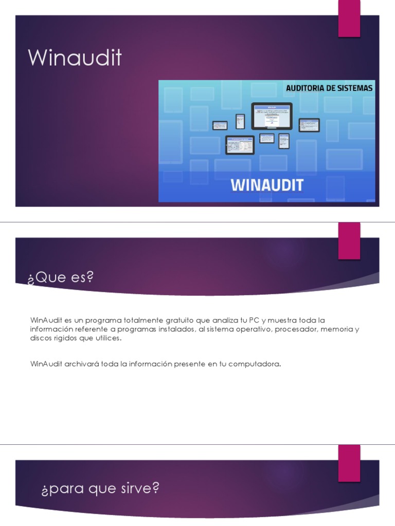 WinAudit: Análisis Completo de PC | PDF