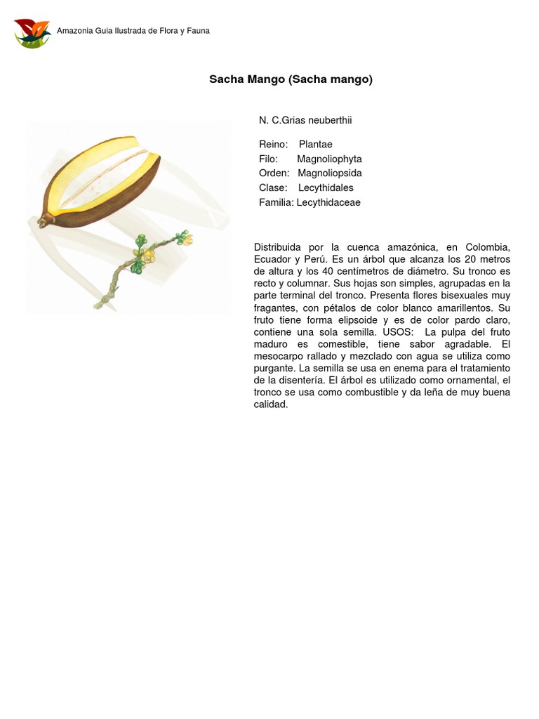 Sacha Mango (Sacha Mango) : Amazonia Guia Ilustrada de Flora y Fauna | PDF