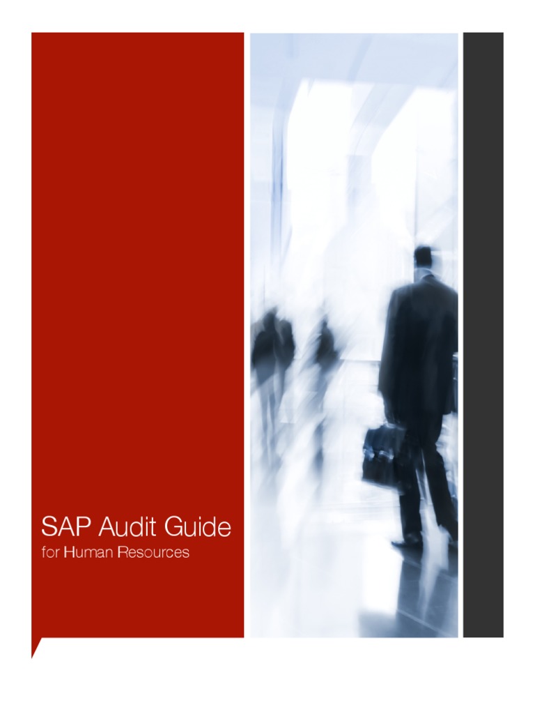 SAP Audit Guide Human Resources PDF | PDF | Human Resource Management ...