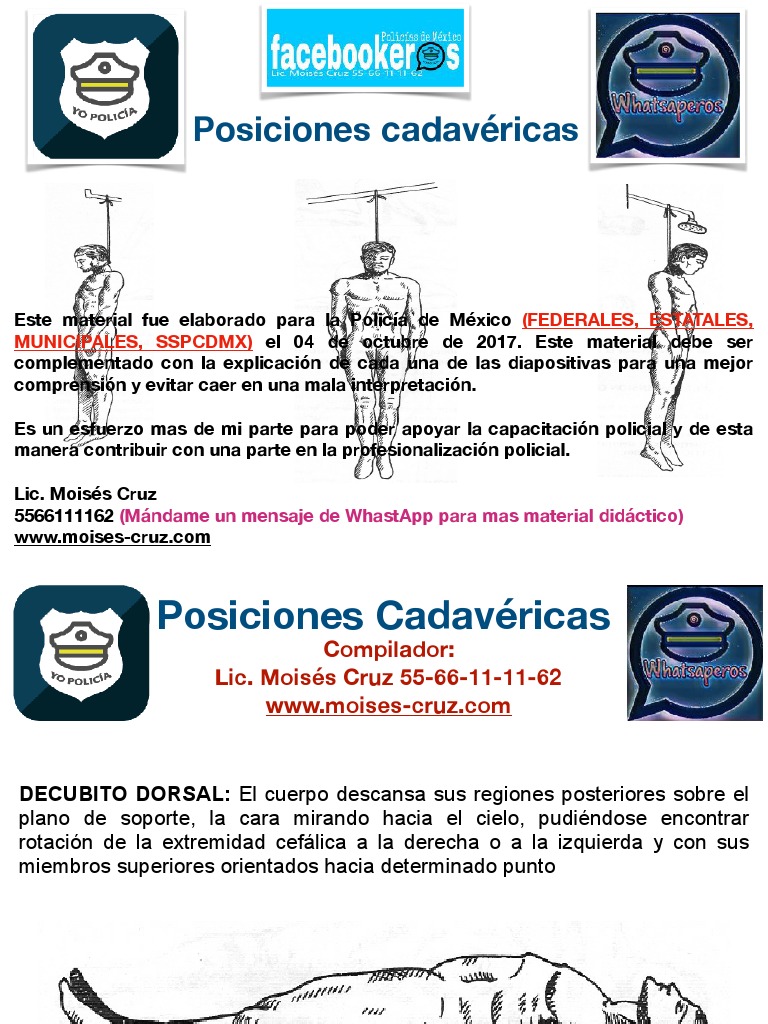 Posiciones Cadavéricas | PDF | Términos anatómicos de ubicación ...